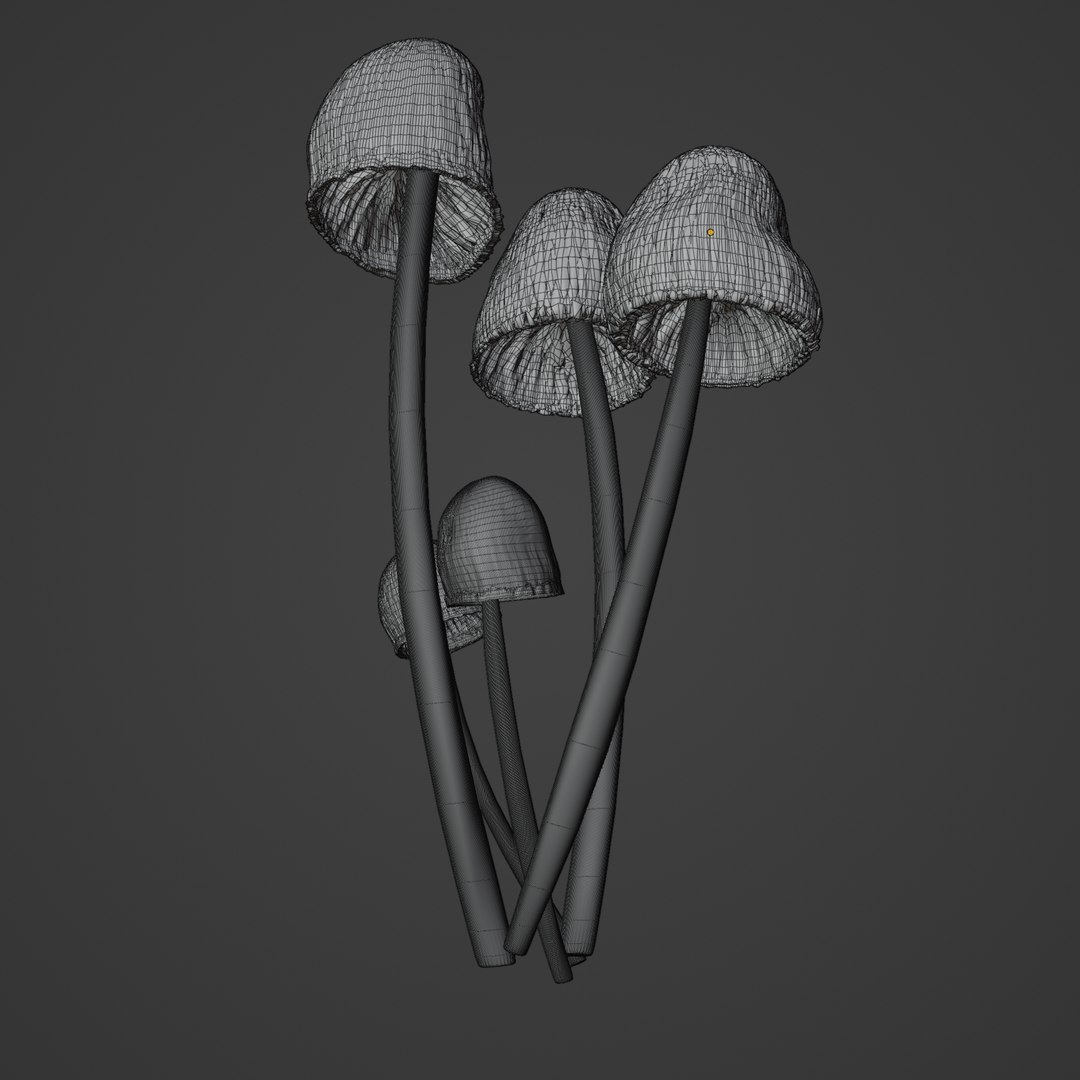 3D Magic Mushroom Model - TurboSquid 1895919