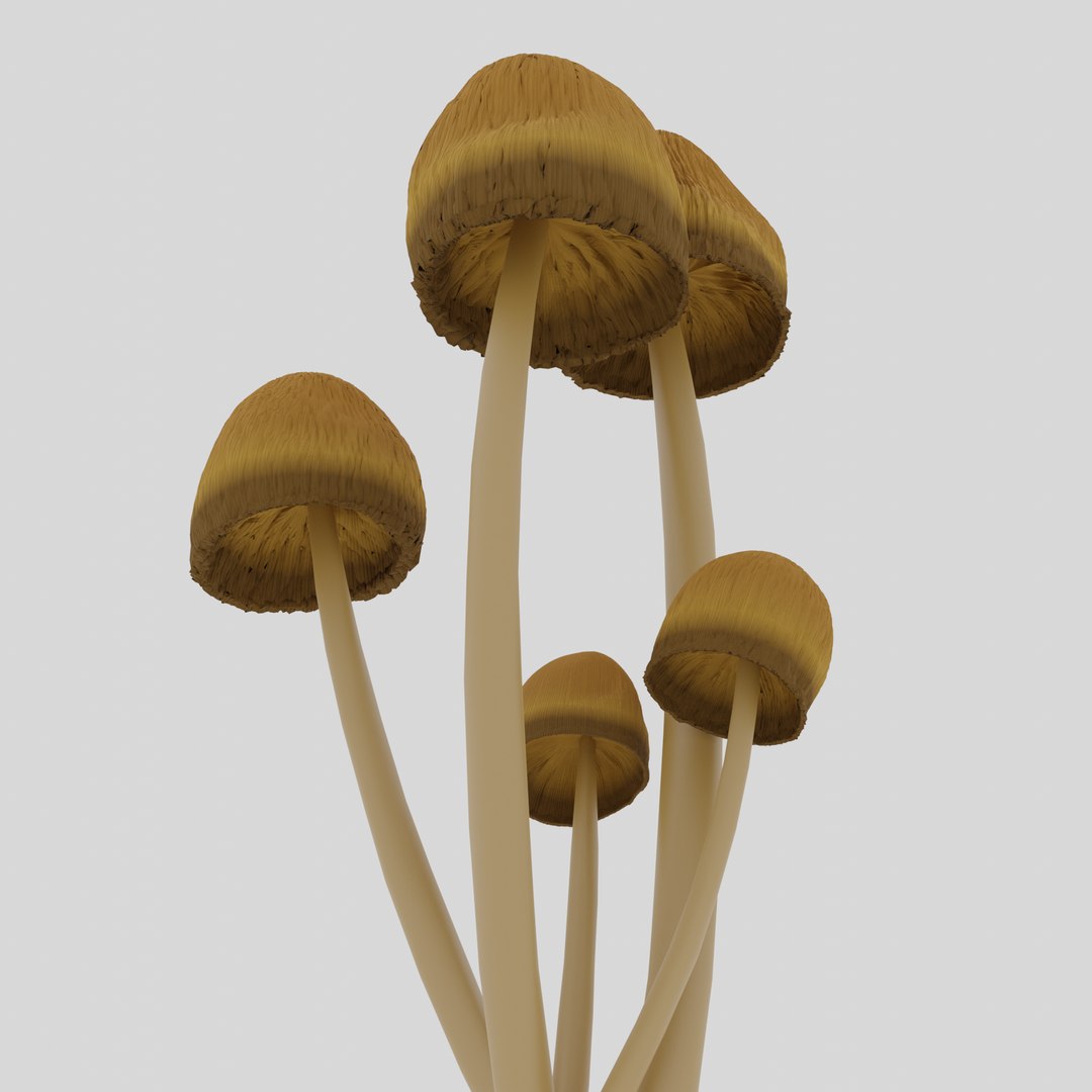 3D Magic Mushroom Model - TurboSquid 1895919