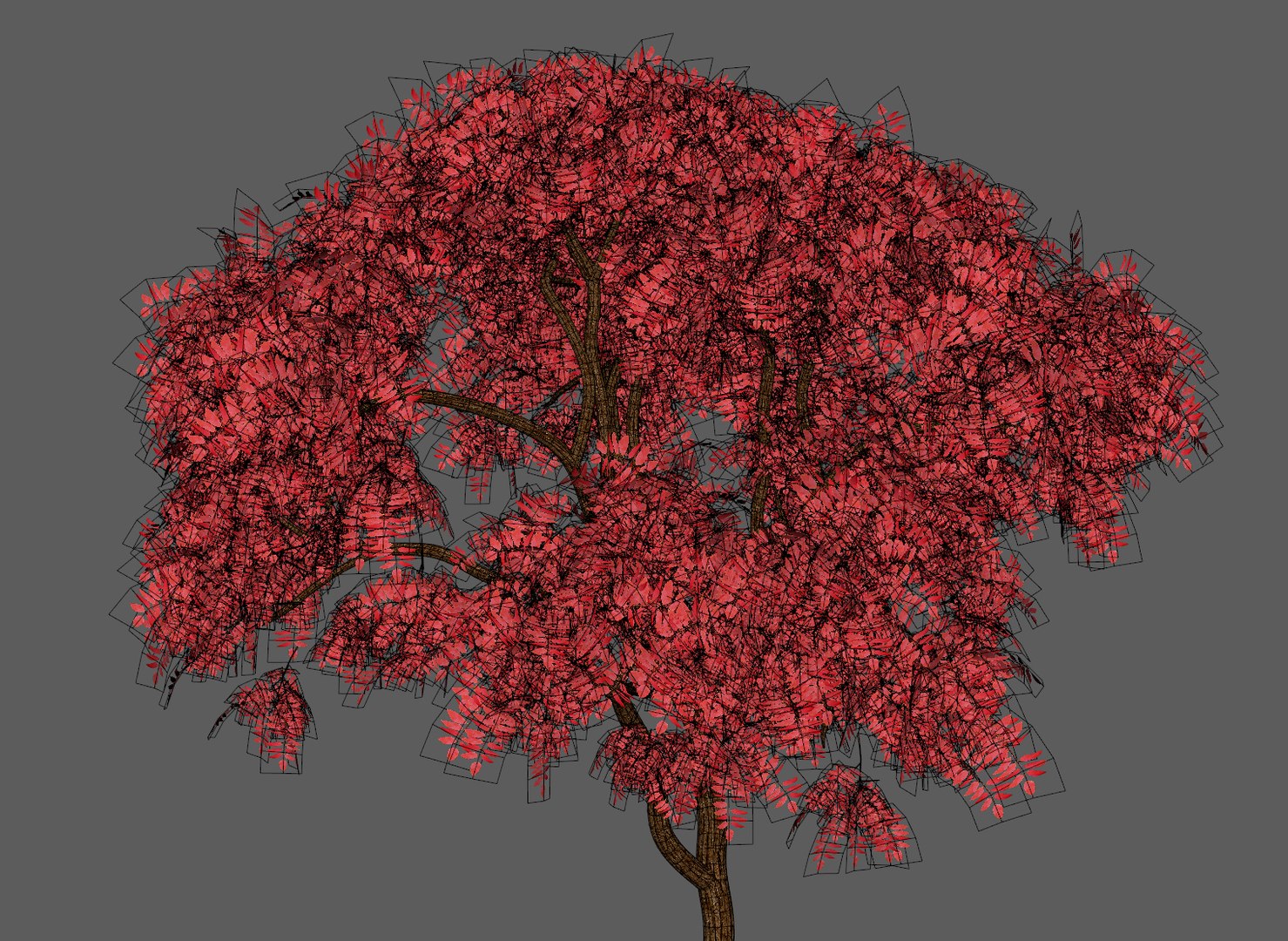 Tree Asian Asia 3D Model - TurboSquid 1254530