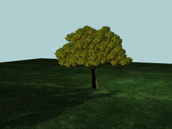 small orange tree 3d max