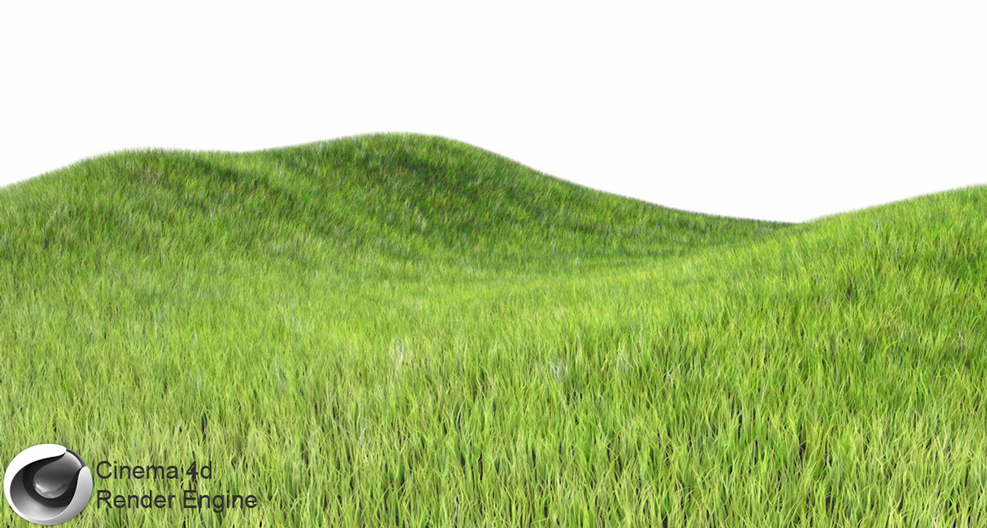 Dynamic Grass C4d