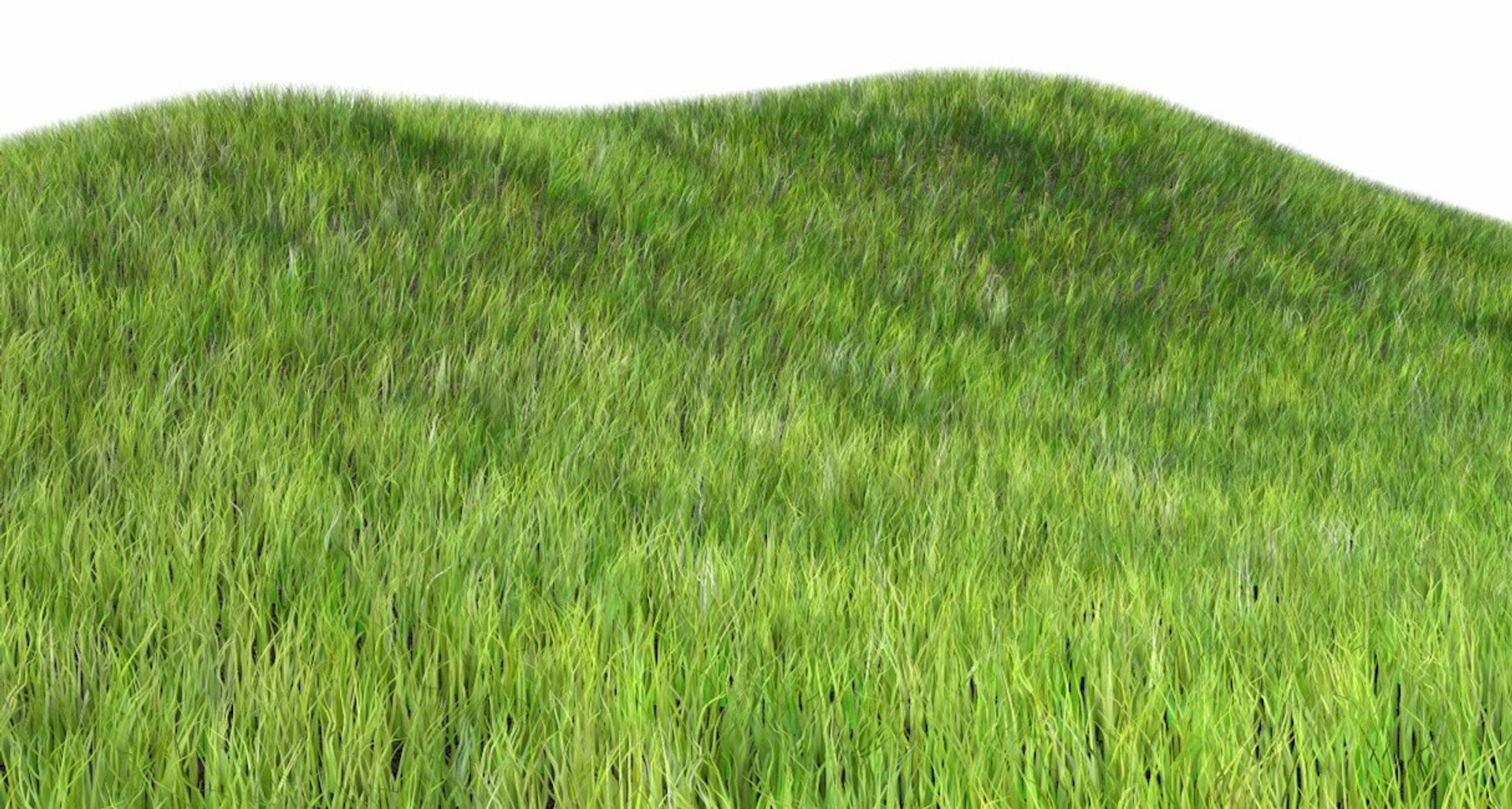 Dynamic Grass C4d