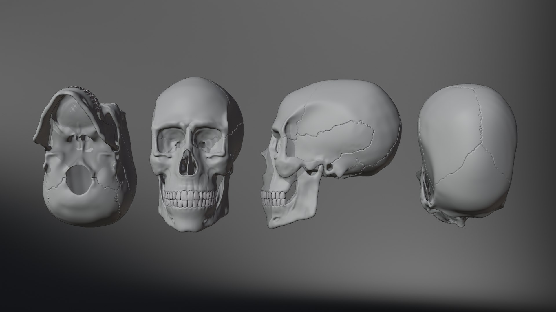 3D Model Realistic Human Skull High Poly And Low Poly Versions ...
