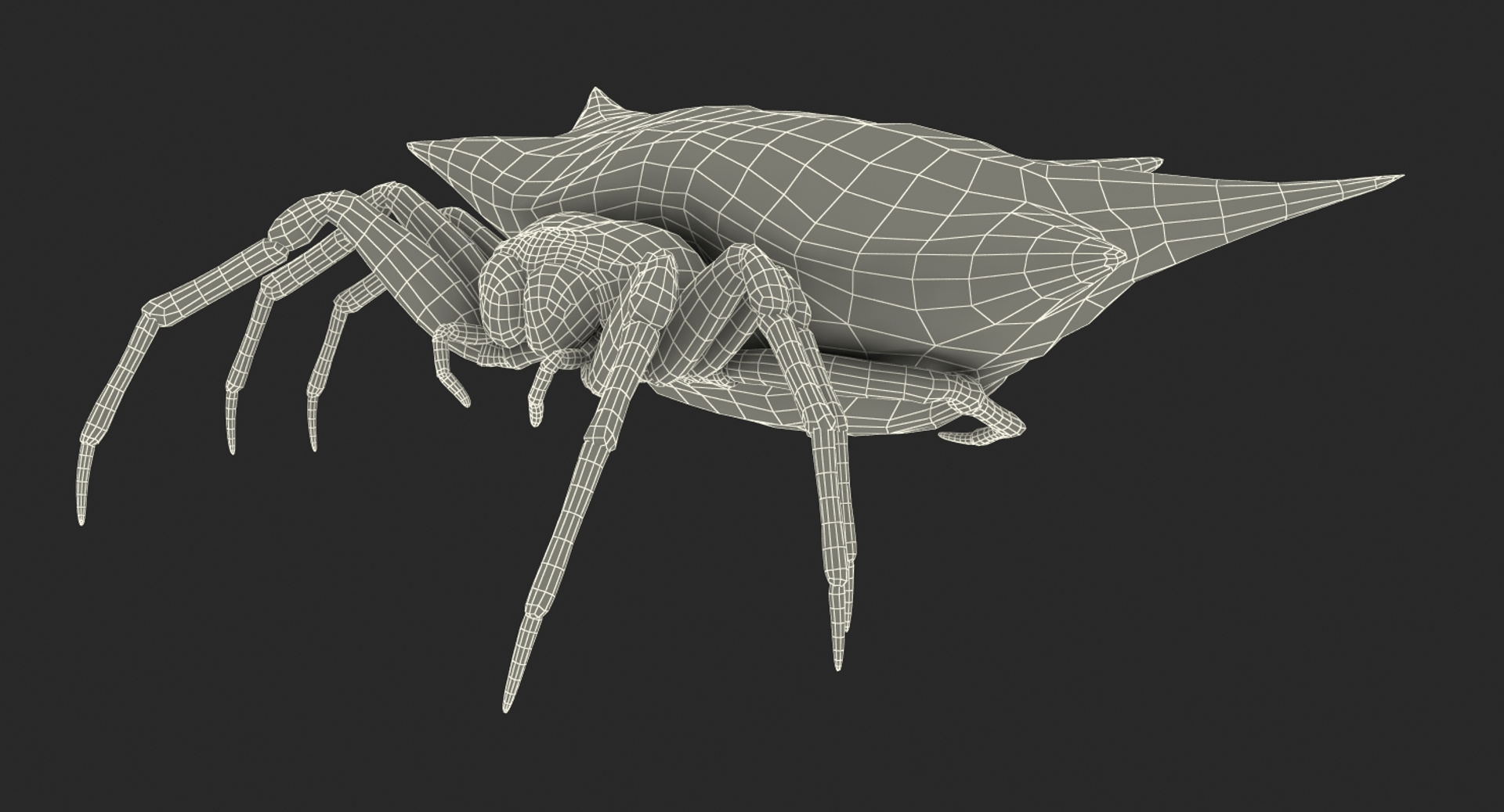 Spiny Orb Weaver Spider 3D Model - TurboSquid 1171646