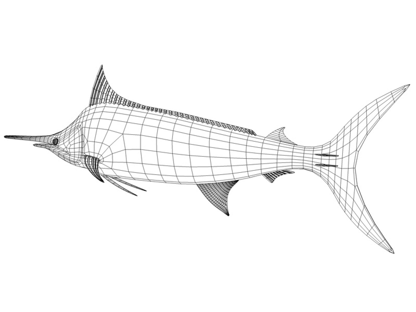 3d Blue Marlin Model