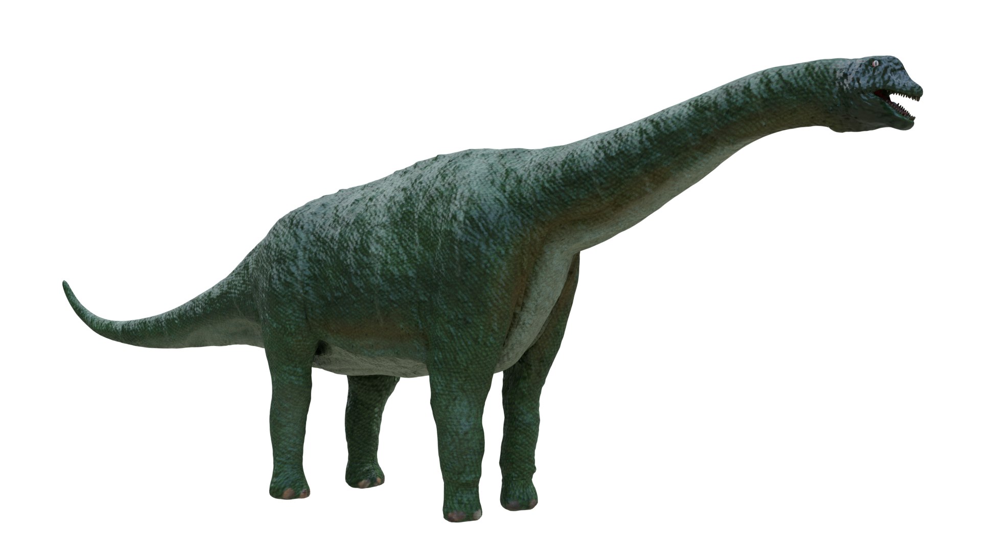 Apatosaurus 3D Model - TurboSquid 1979203
