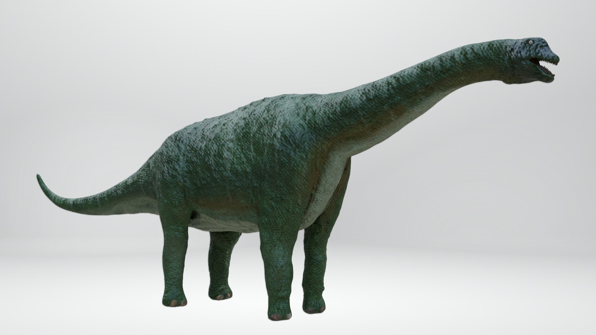 Apatosaurus 3D Model - TurboSquid 1979203