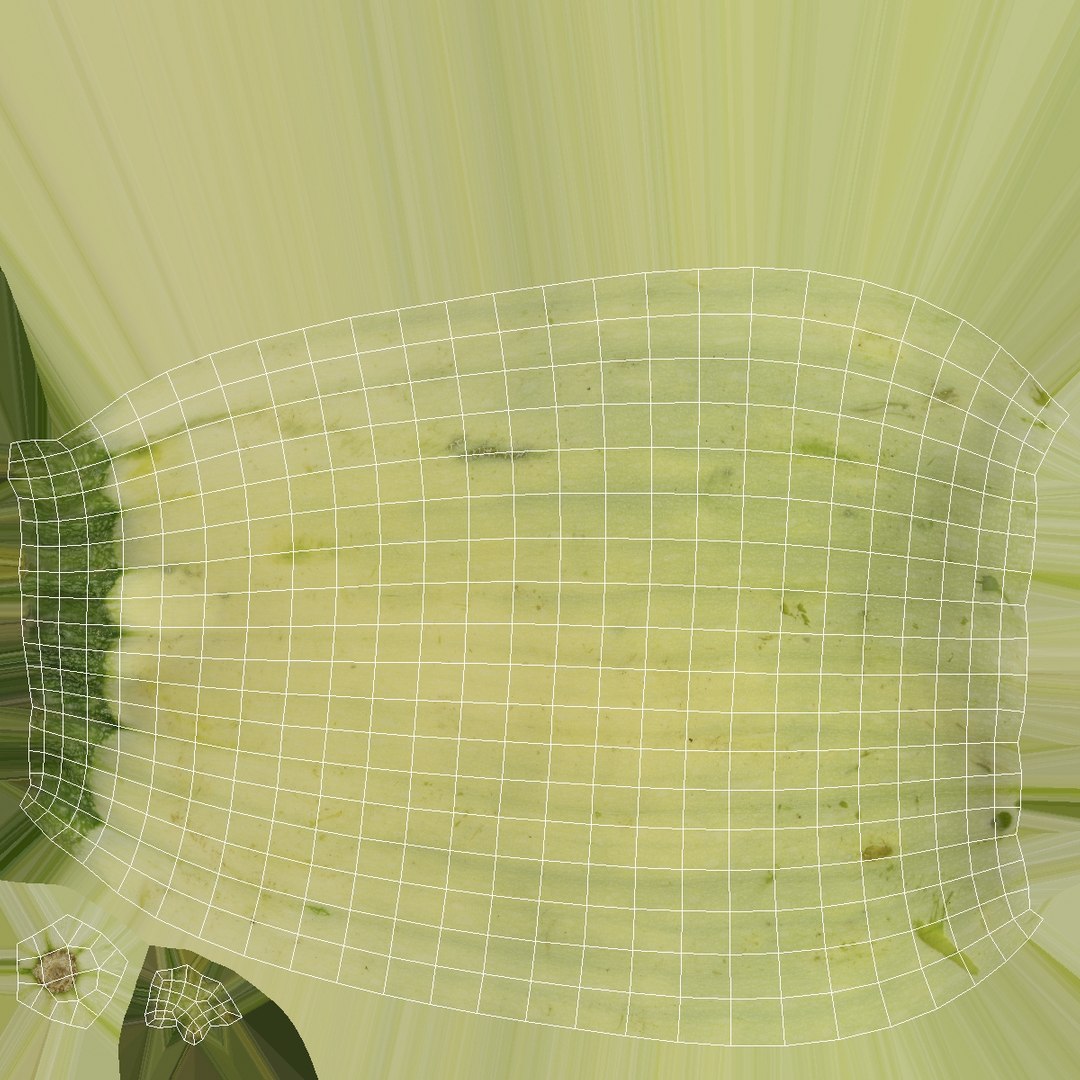 3D magda zucchini - TurboSquid 1197758