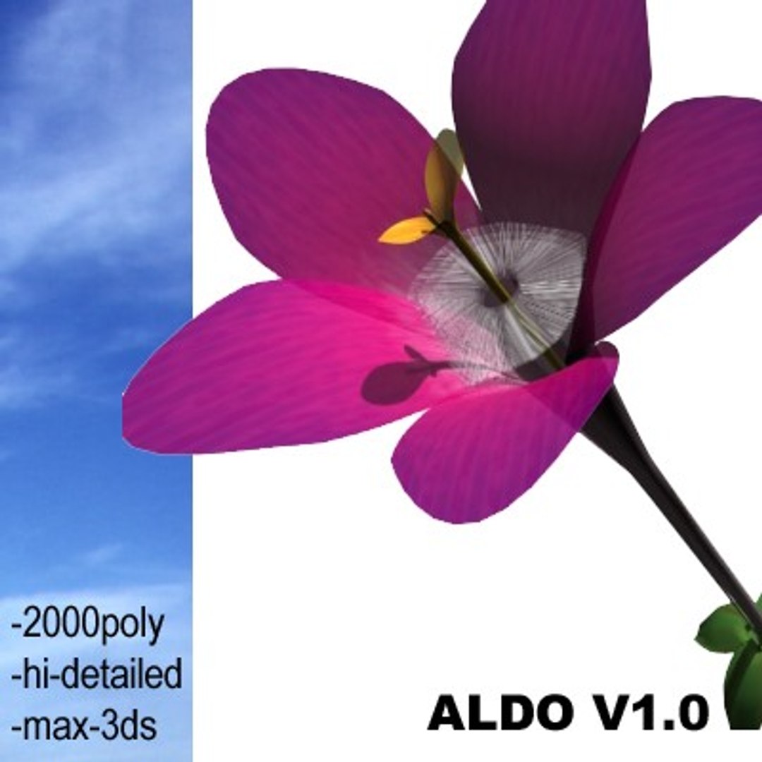 Realistic Medium 3d Model