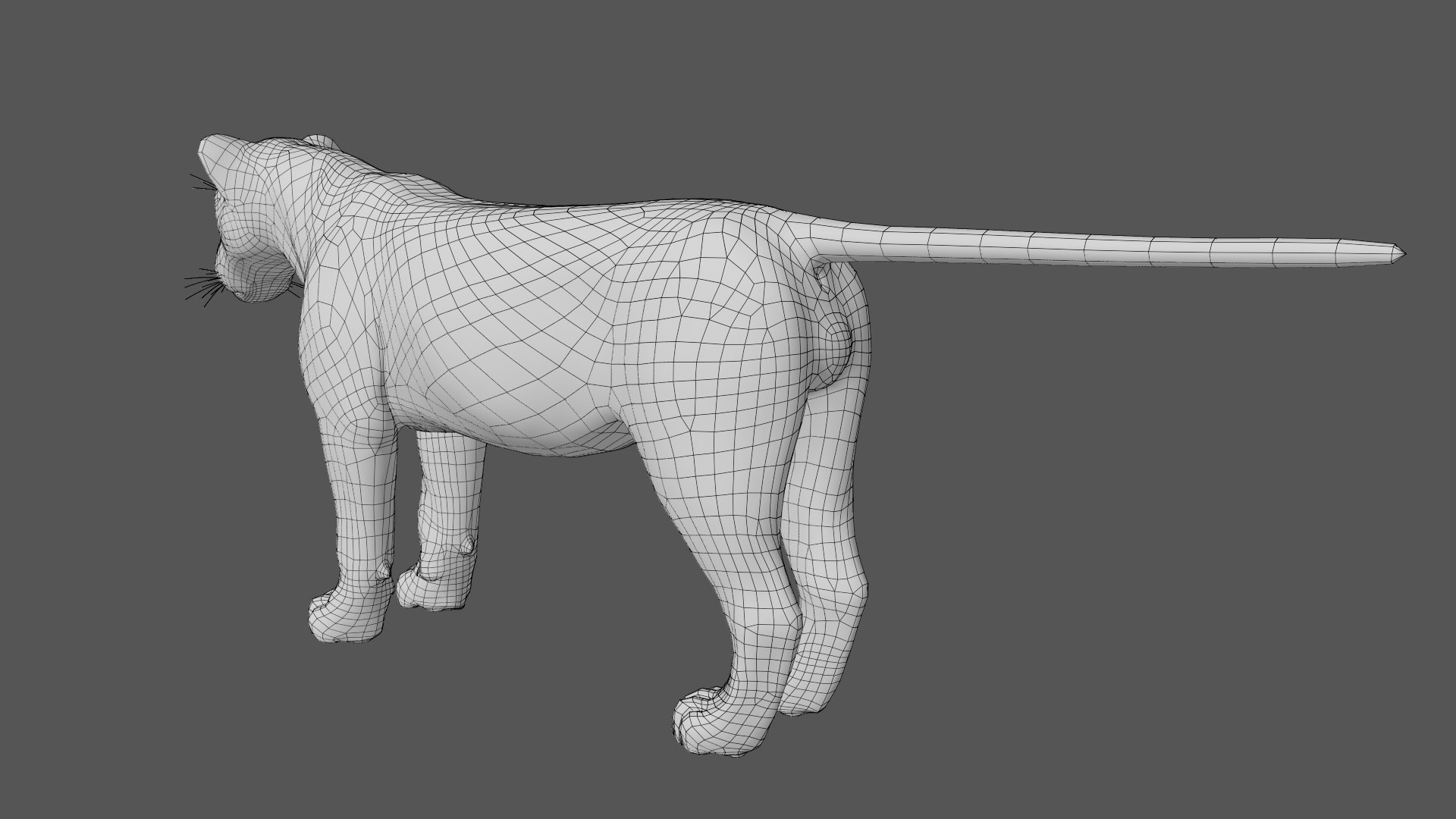 Vary Lion Fur 3D Model - TurboSquid 1437155