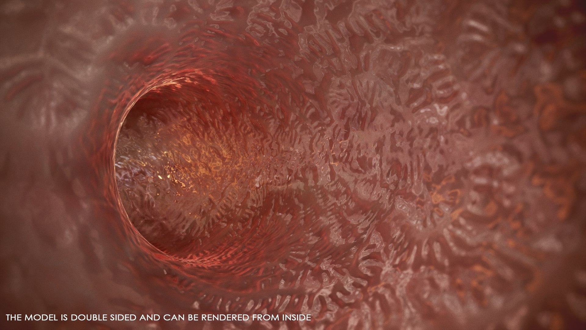 3D Model Realistic Stomach Anatomy - TurboSquid 1557781