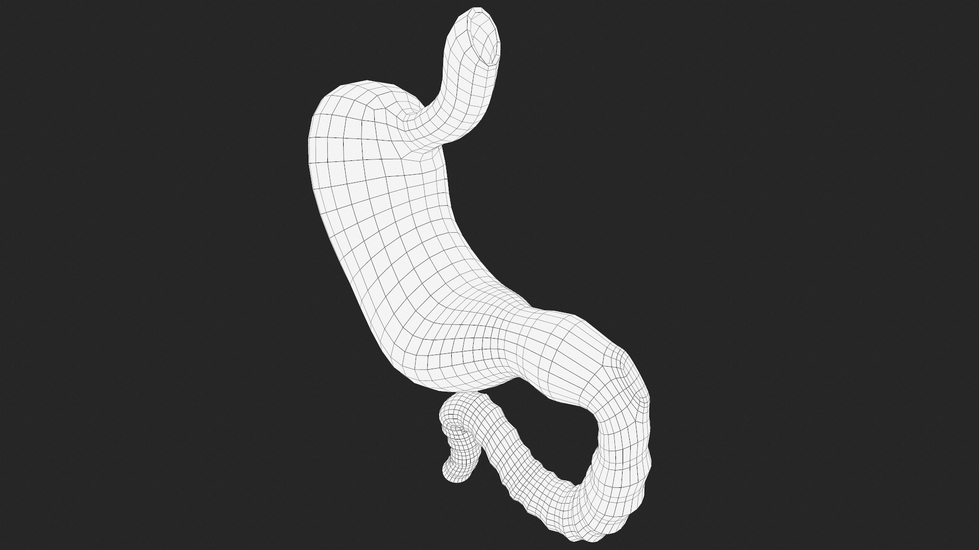 3D Model Realistic Stomach Anatomy - TurboSquid 1557781
