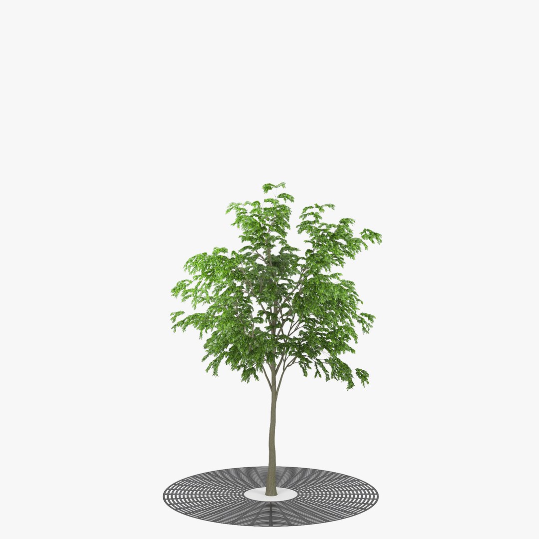 Tree Nature 3D Model - TurboSquid 1372313