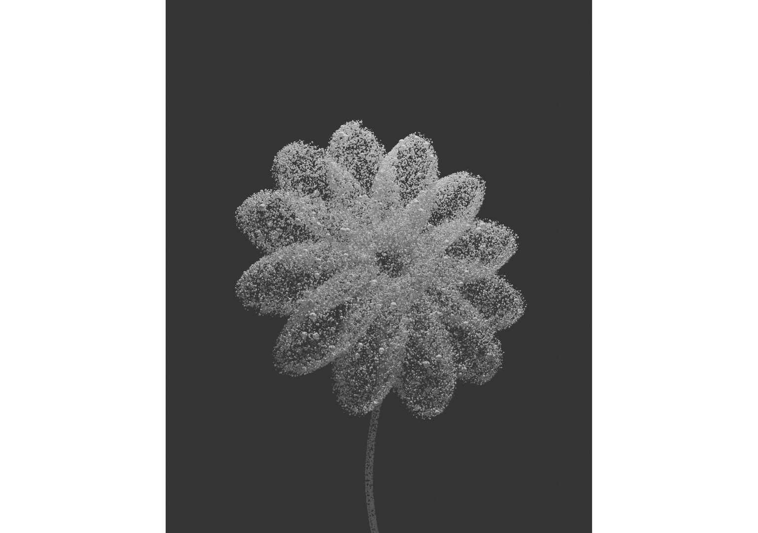 3D Particles Flower - TurboSquid 2072762