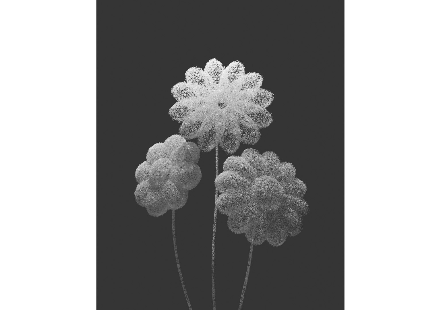 3D Particles Flower - TurboSquid 2072762