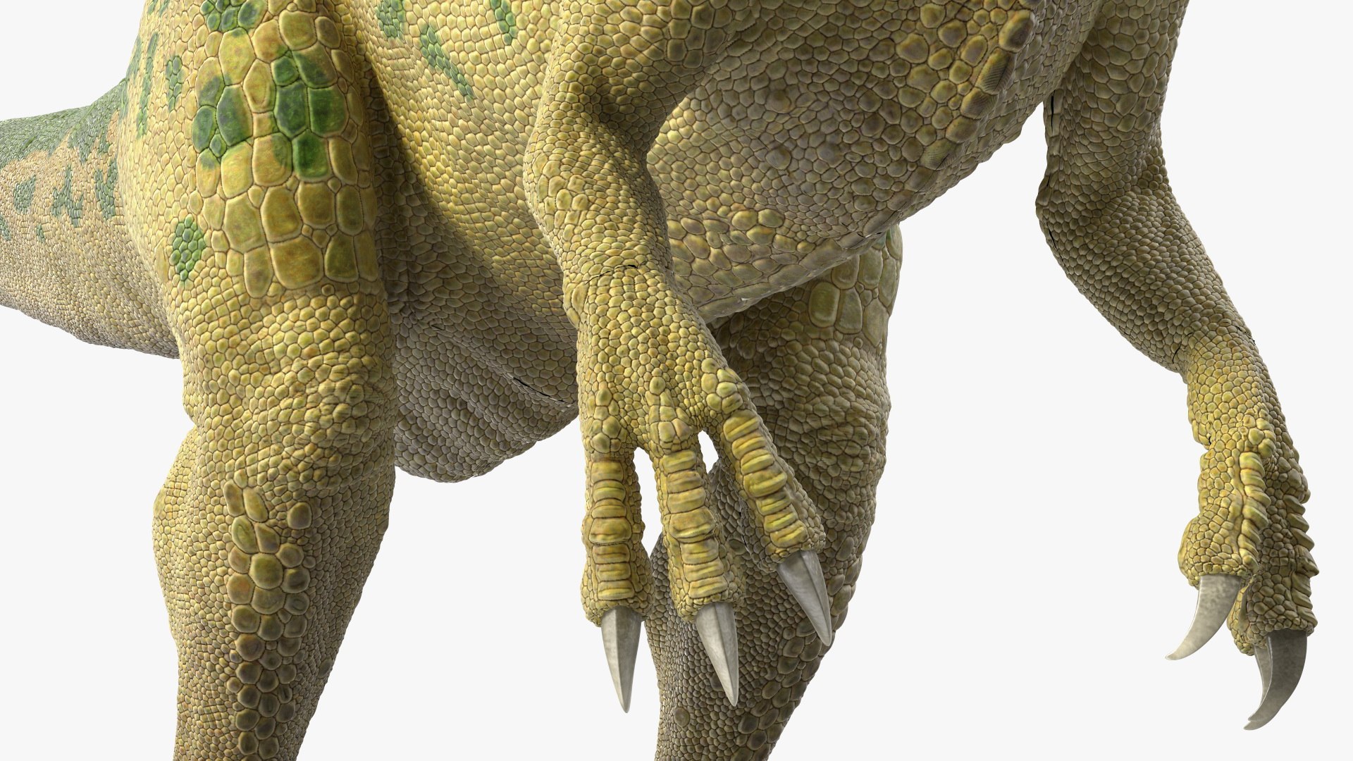 Allosaurus Green Coloring 3D Model - TurboSquid 2158688