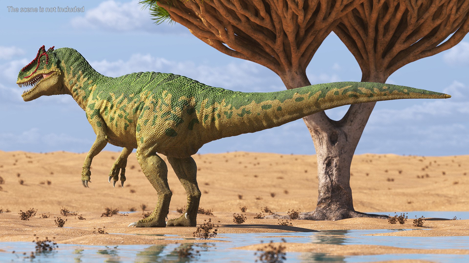 Allosaurus Green Coloring 3D Model - TurboSquid 2158688