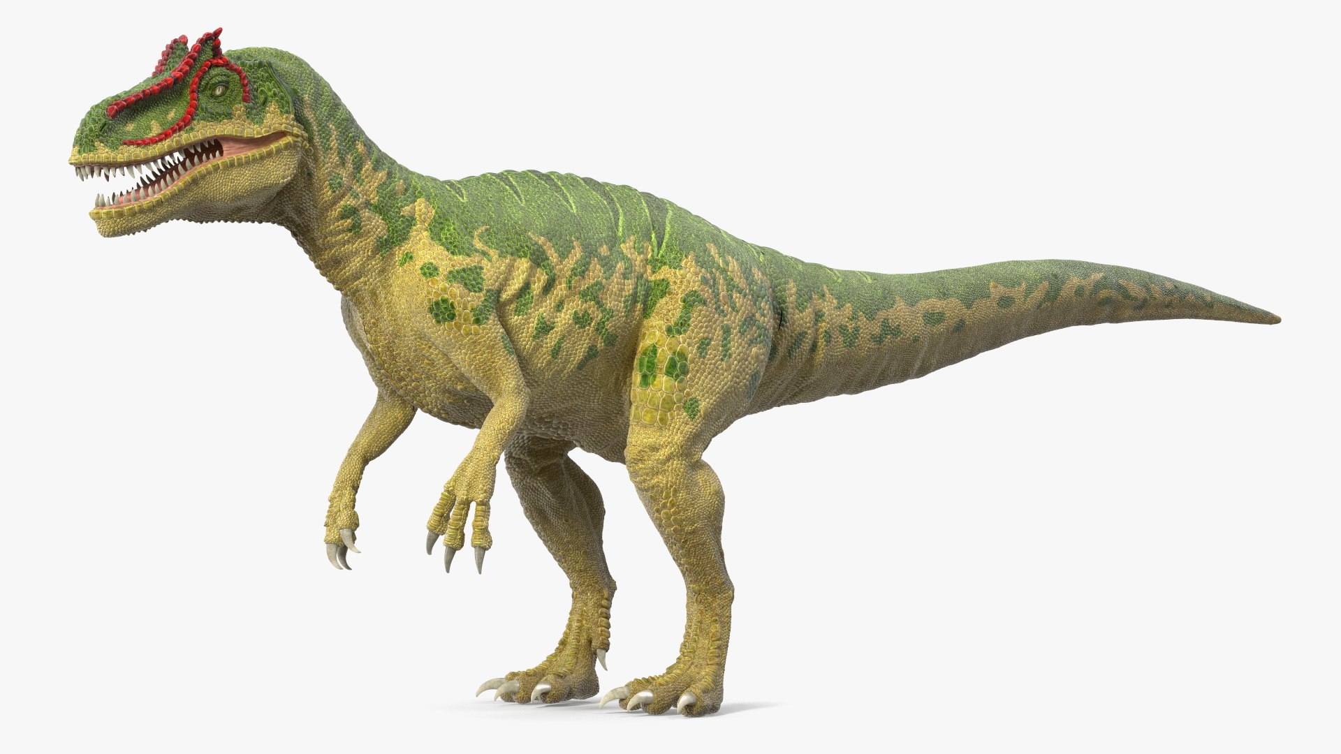 Allosaurus Green Coloring 3D Model - TurboSquid 2158688