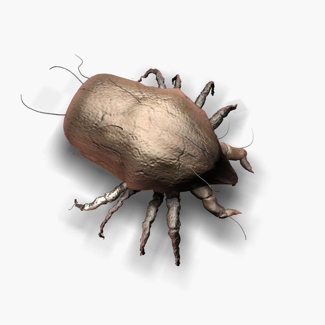 3d model mite monster para