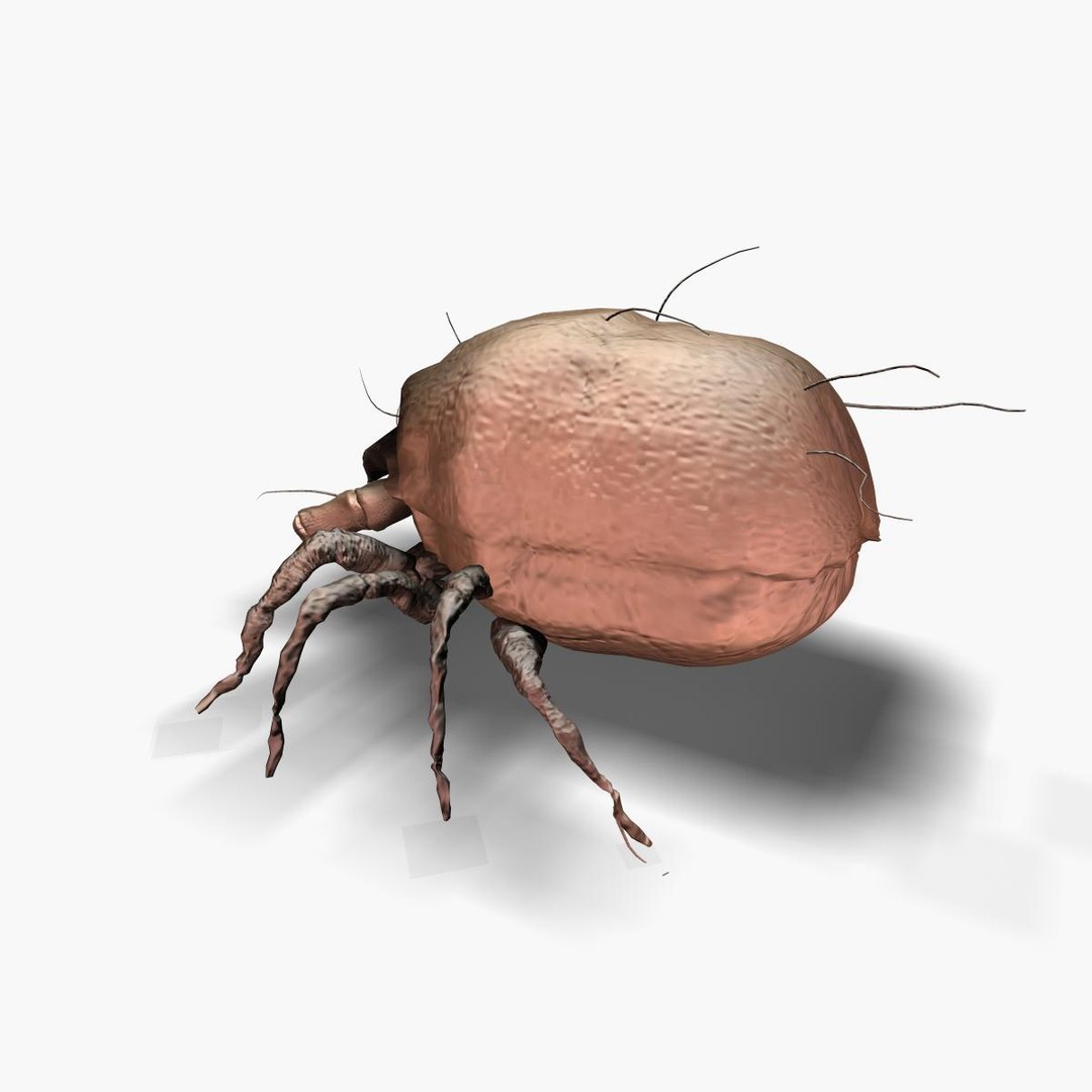 3d model mite monster para