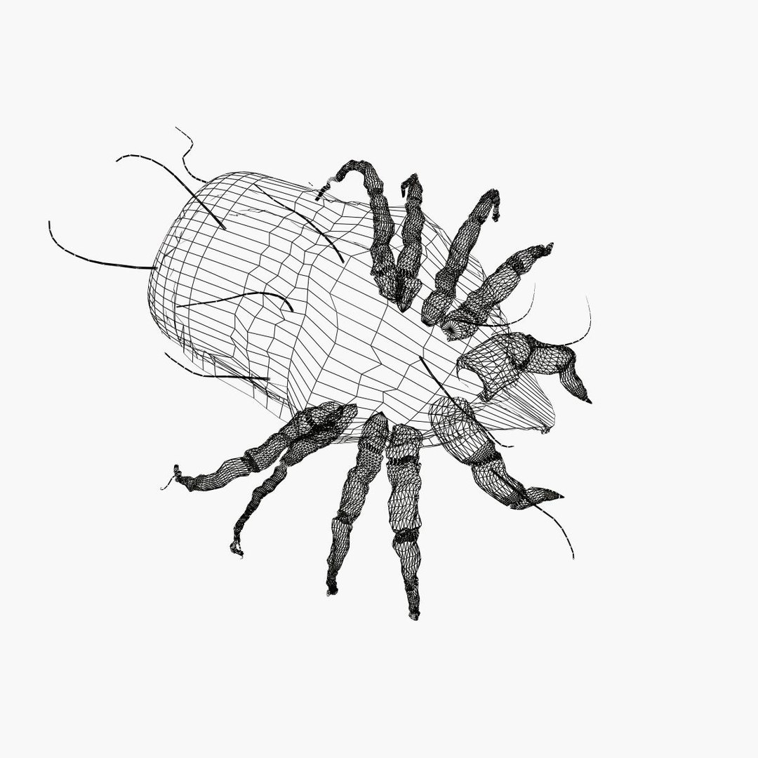 3d model mite monster para