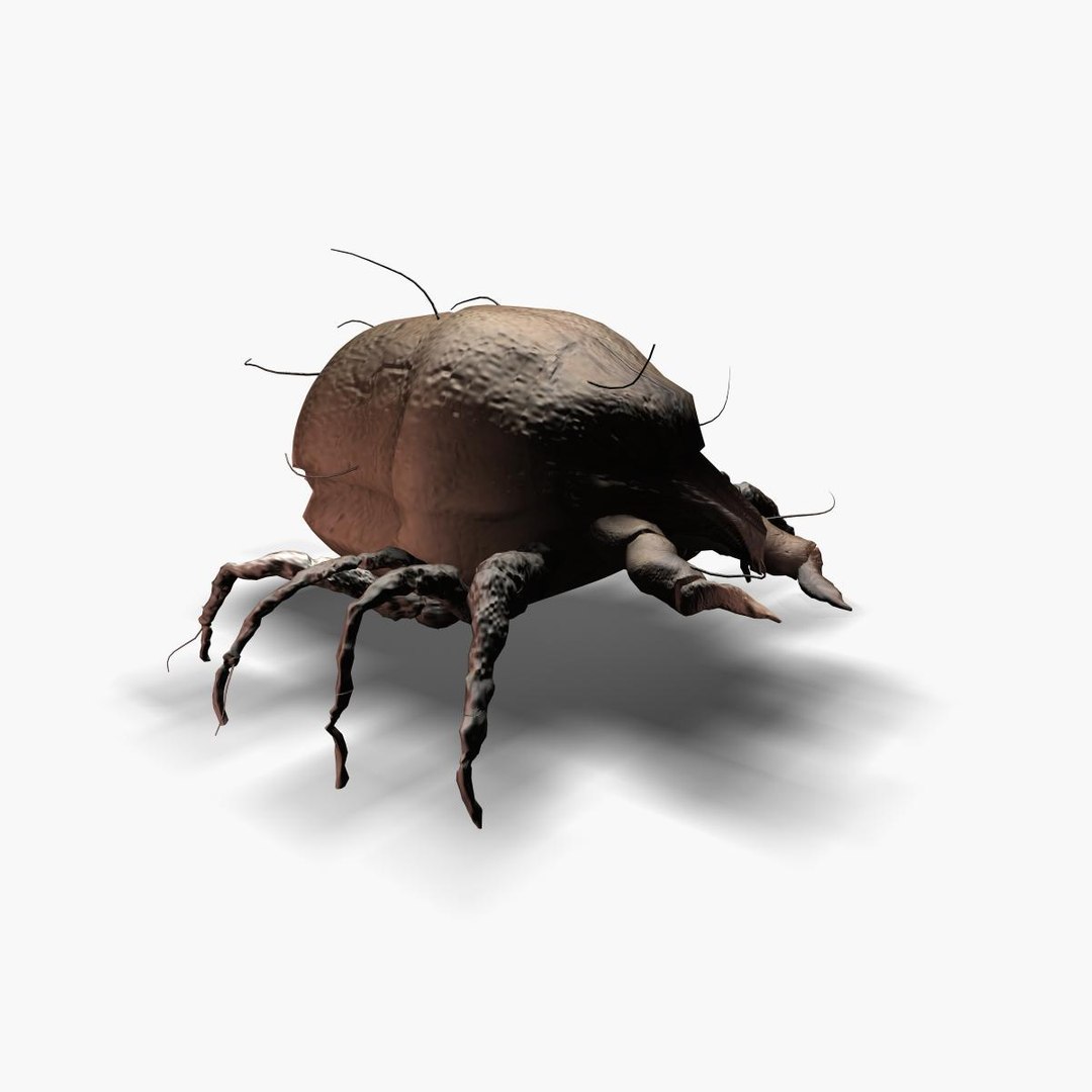 3d model mite monster para