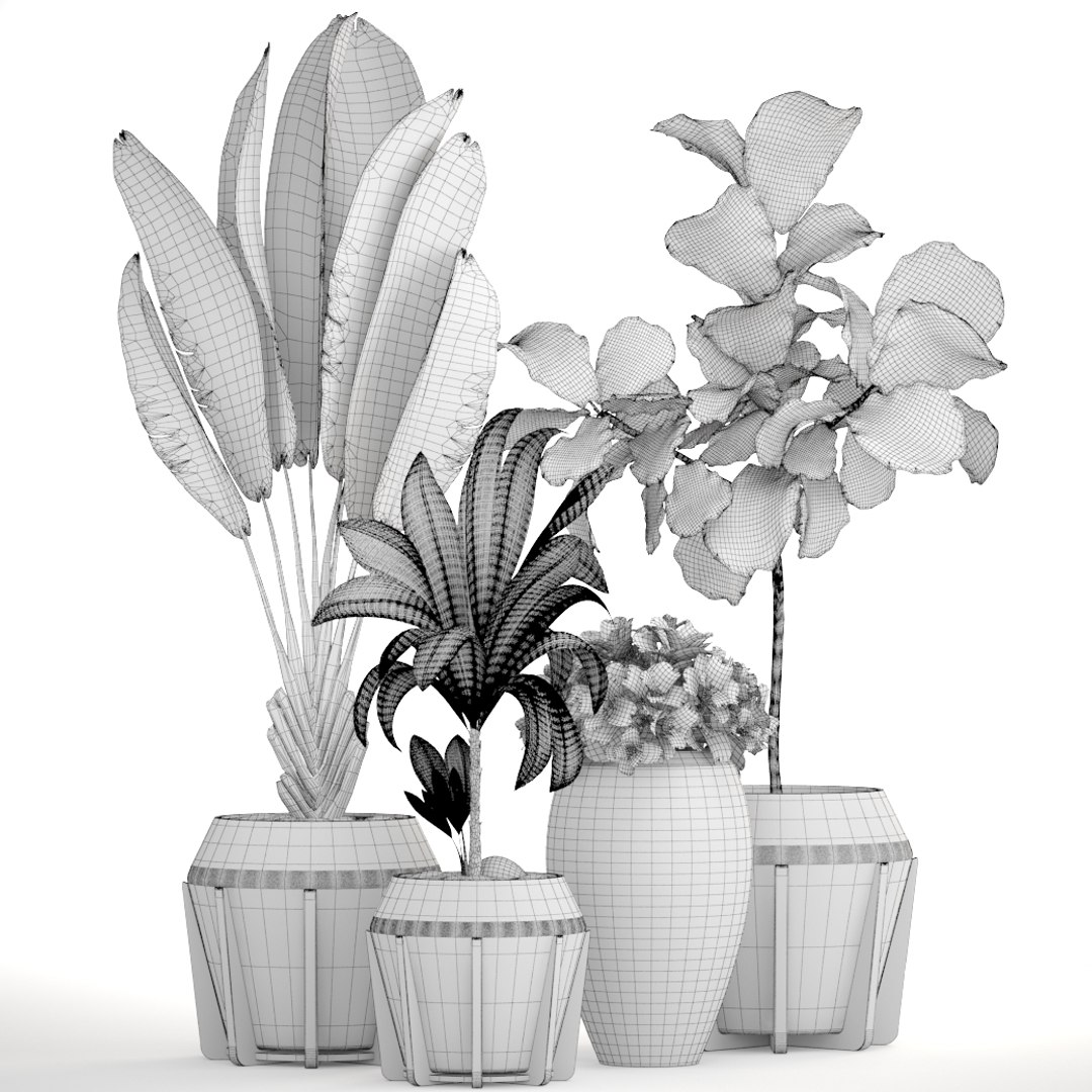 Tropical Plant 3D Model - TurboSquid 1241609