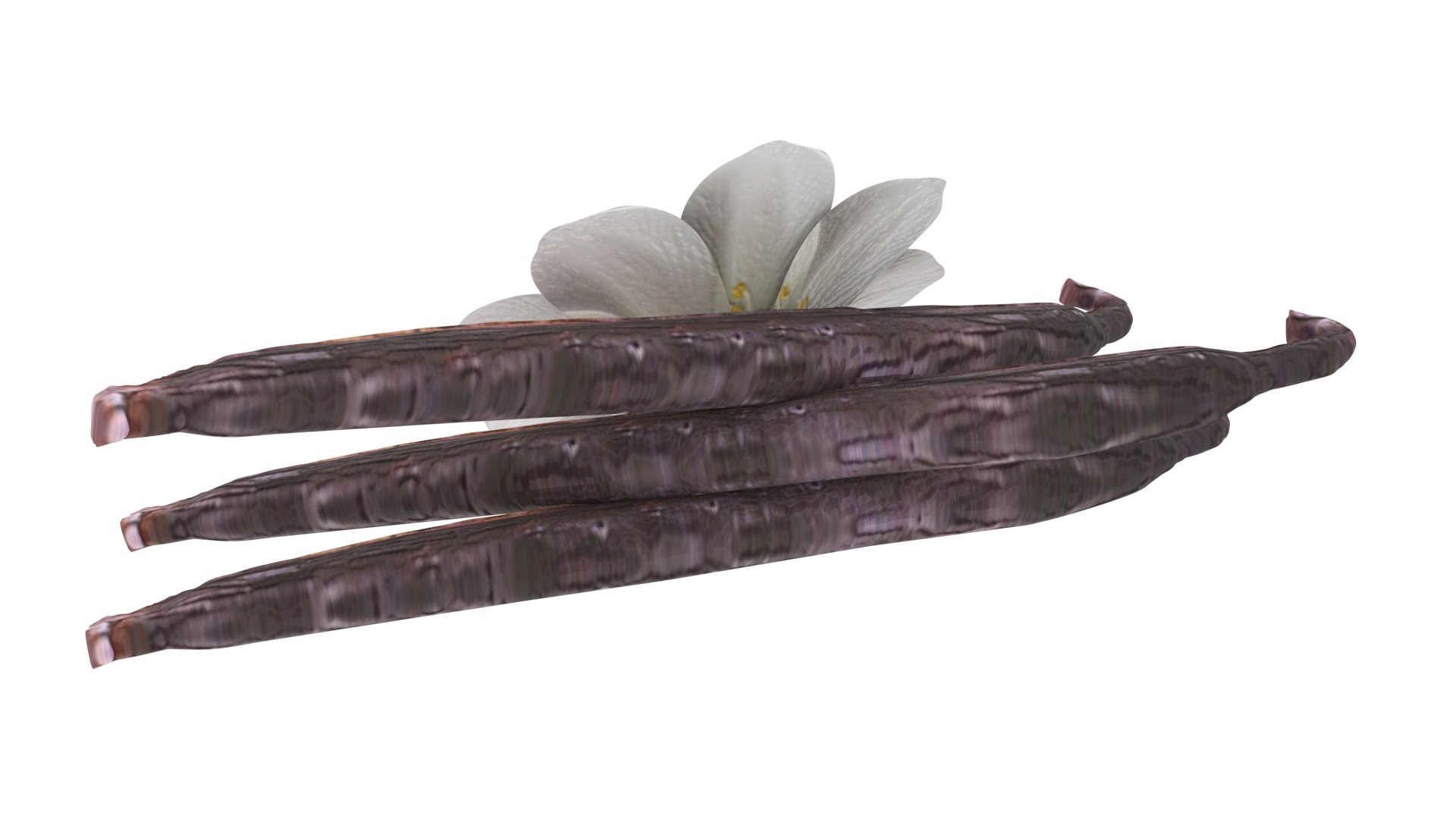 Vanilla 3D Model - TurboSquid 2243521