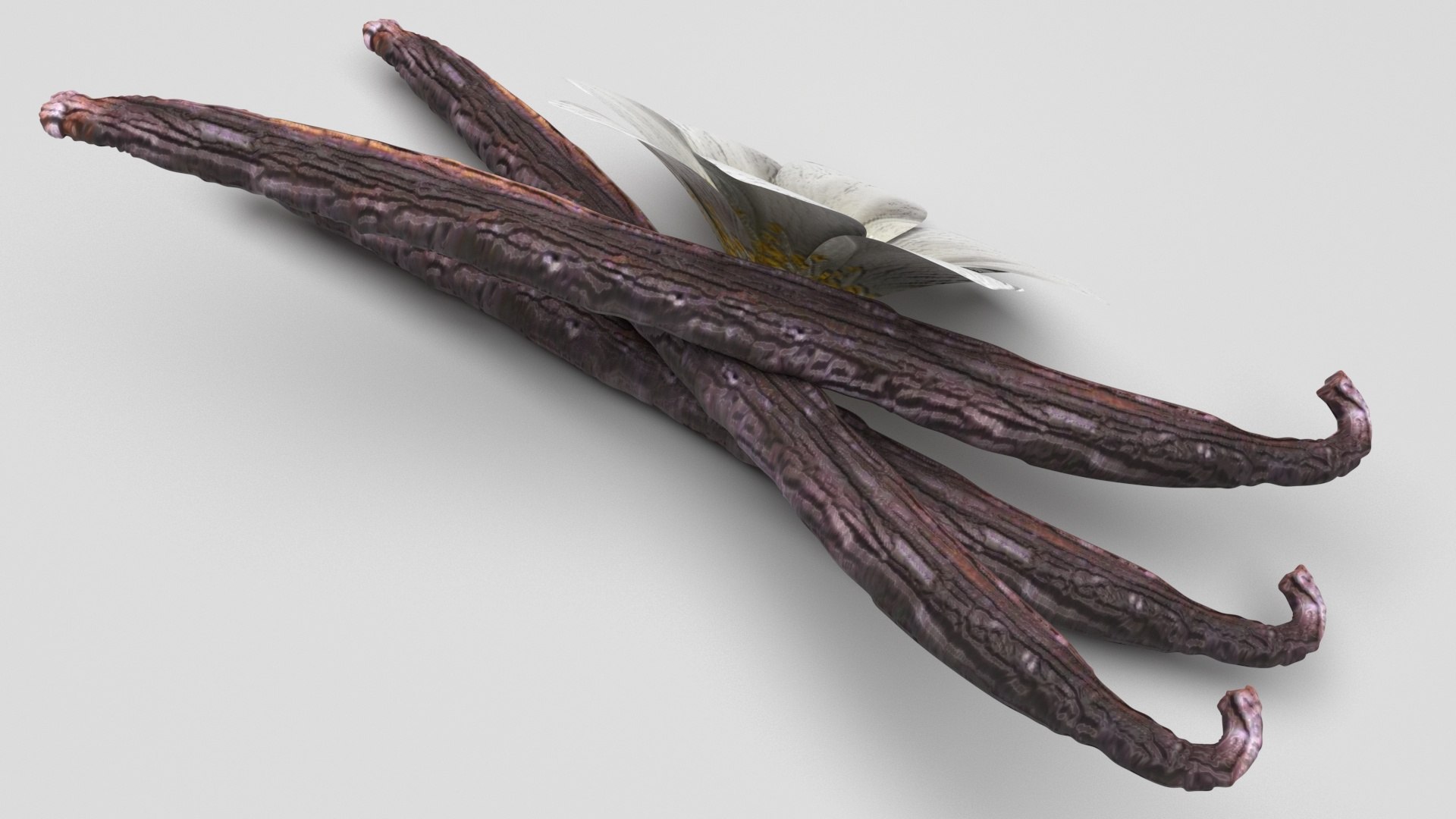 Vanilla 3D Model - TurboSquid 2243521