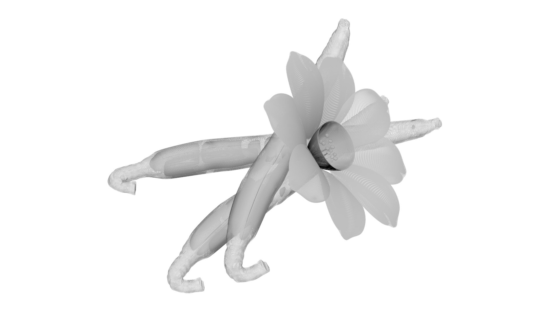 Vanilla 3D Model - TurboSquid 2243521