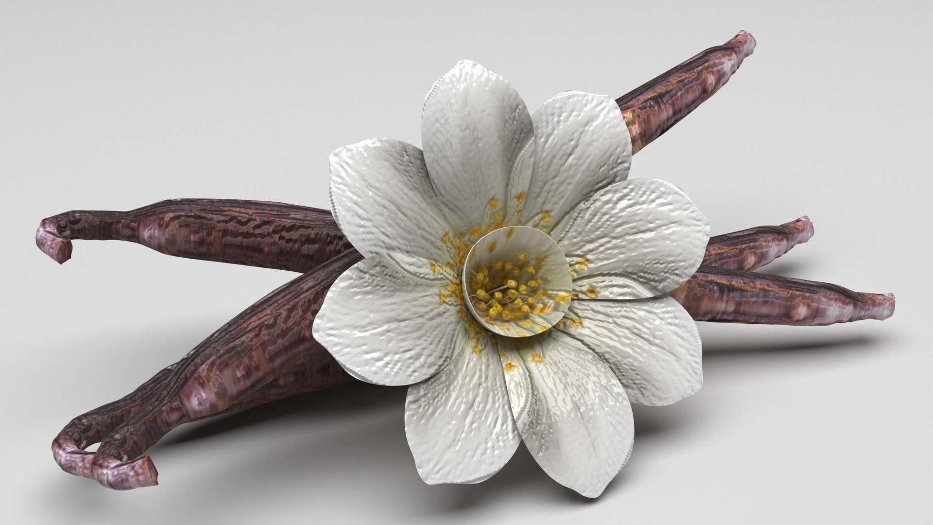 Vanilla 3D Model - TurboSquid 2243521