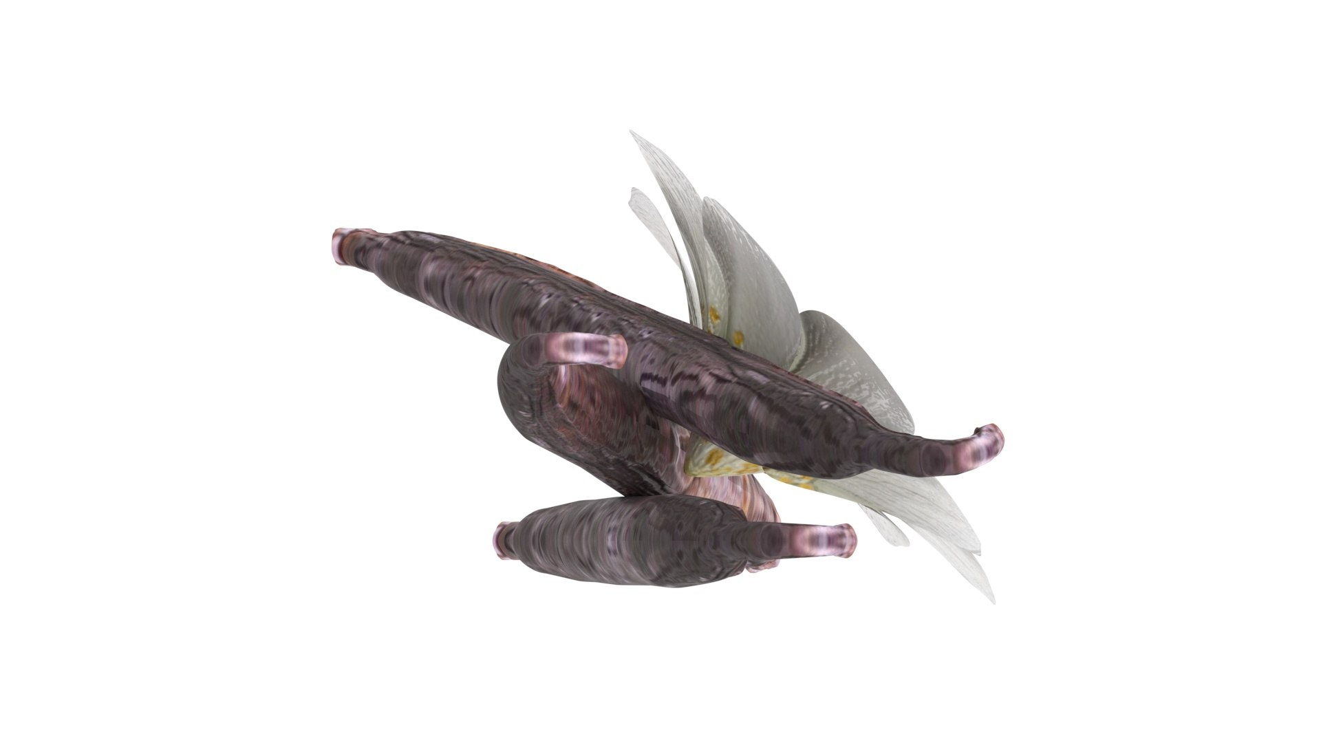 Vanilla 3D Model - TurboSquid 2243521