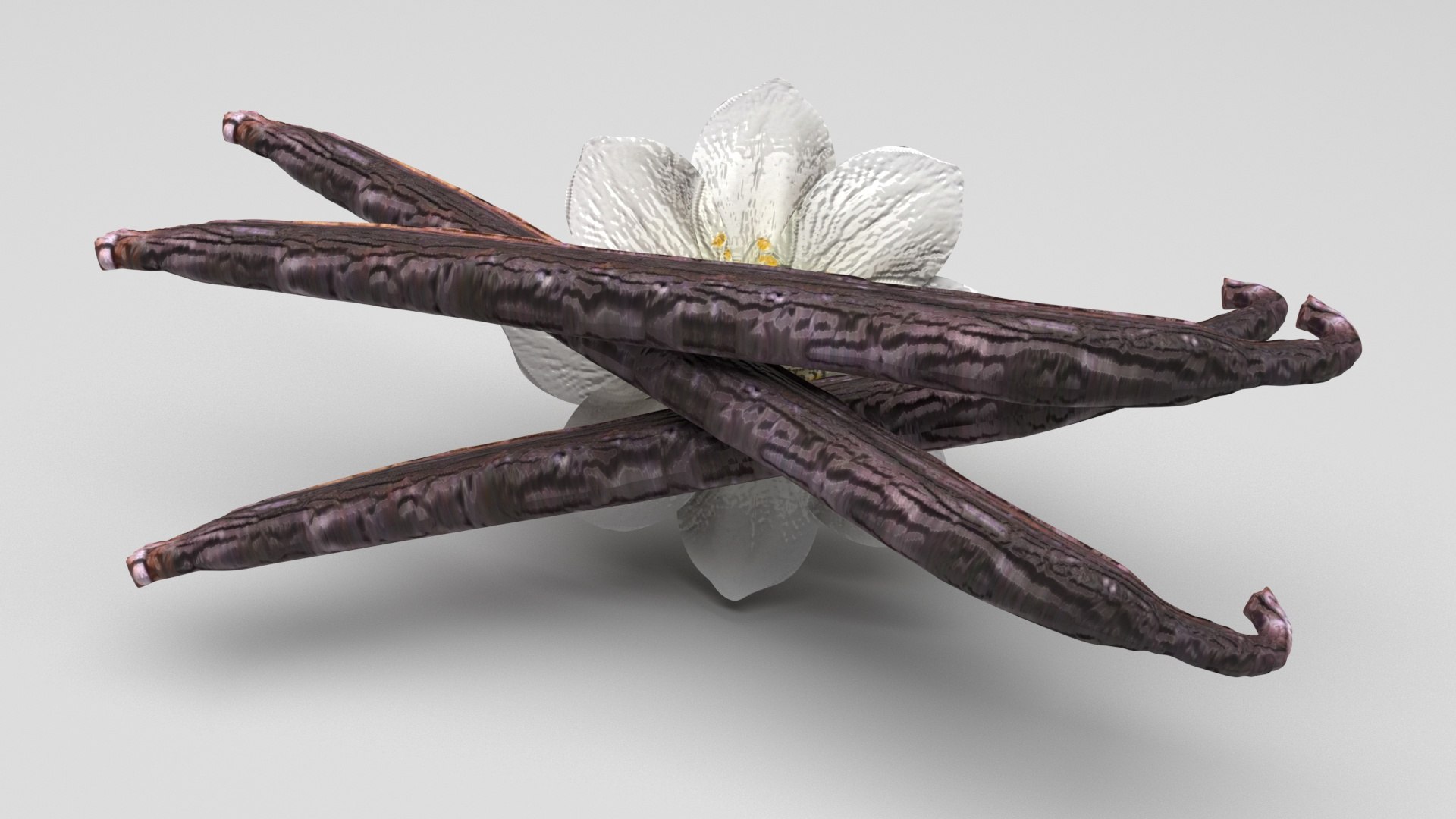 Vanilla 3D Model - TurboSquid 2243521