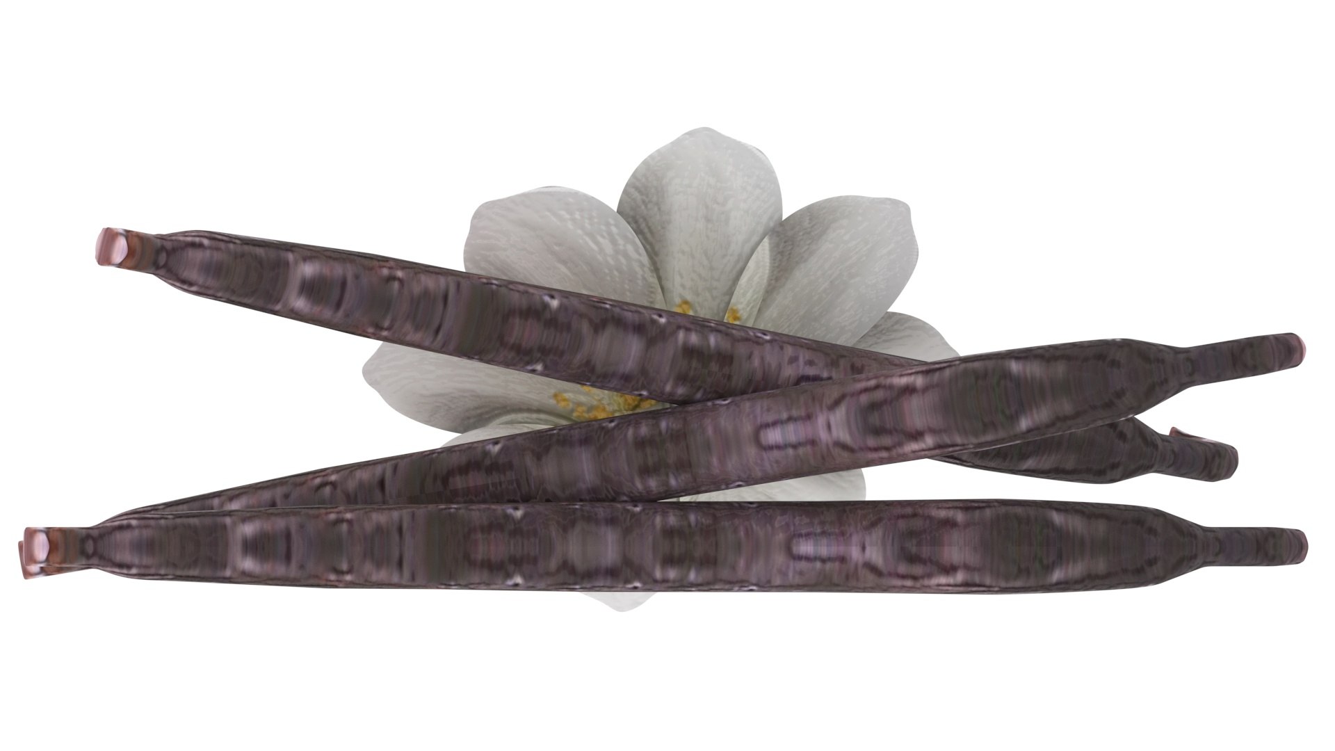 Vanilla 3D Model - TurboSquid 2243521