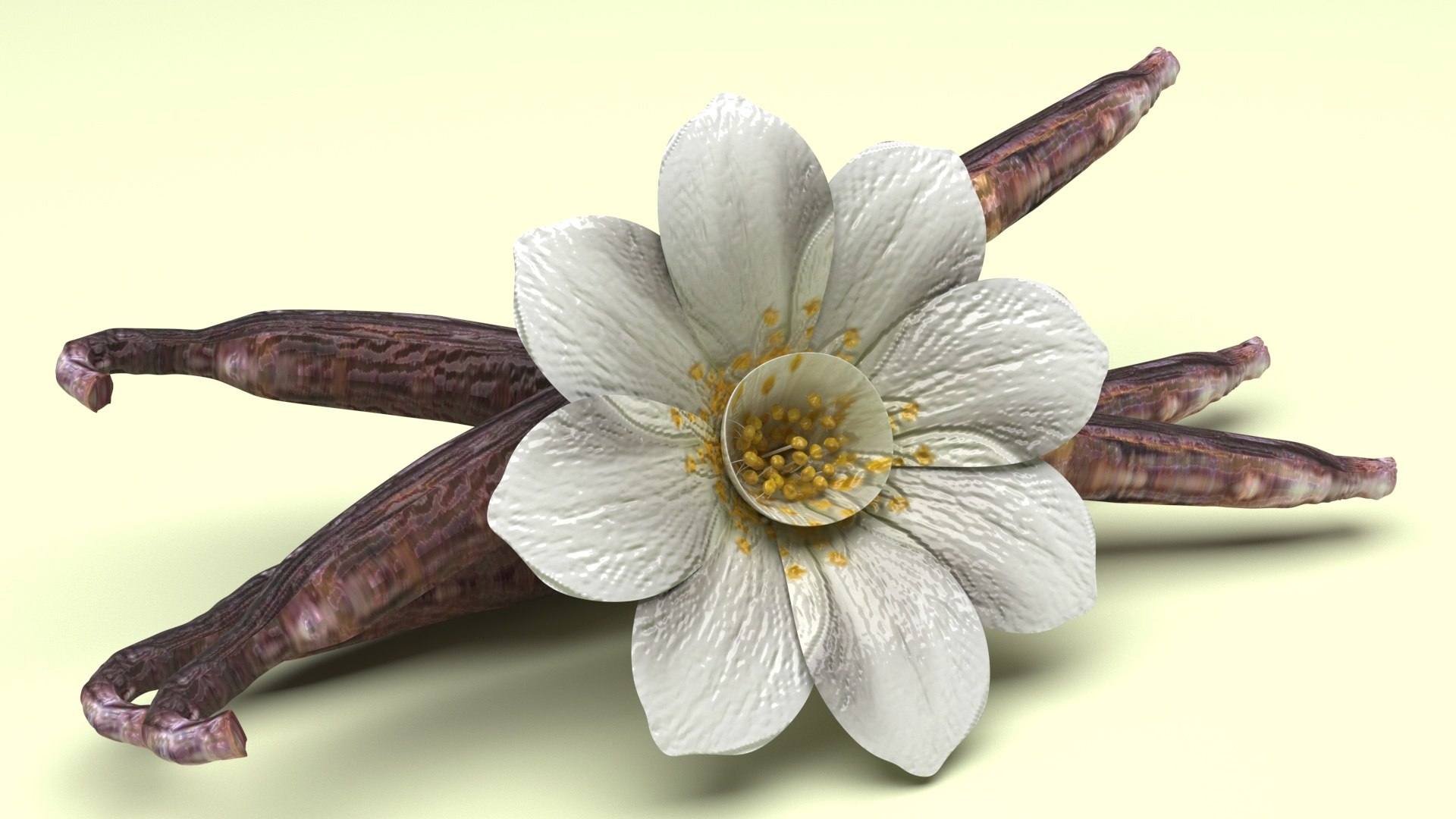 Vanilla 3D Model - TurboSquid 2243521