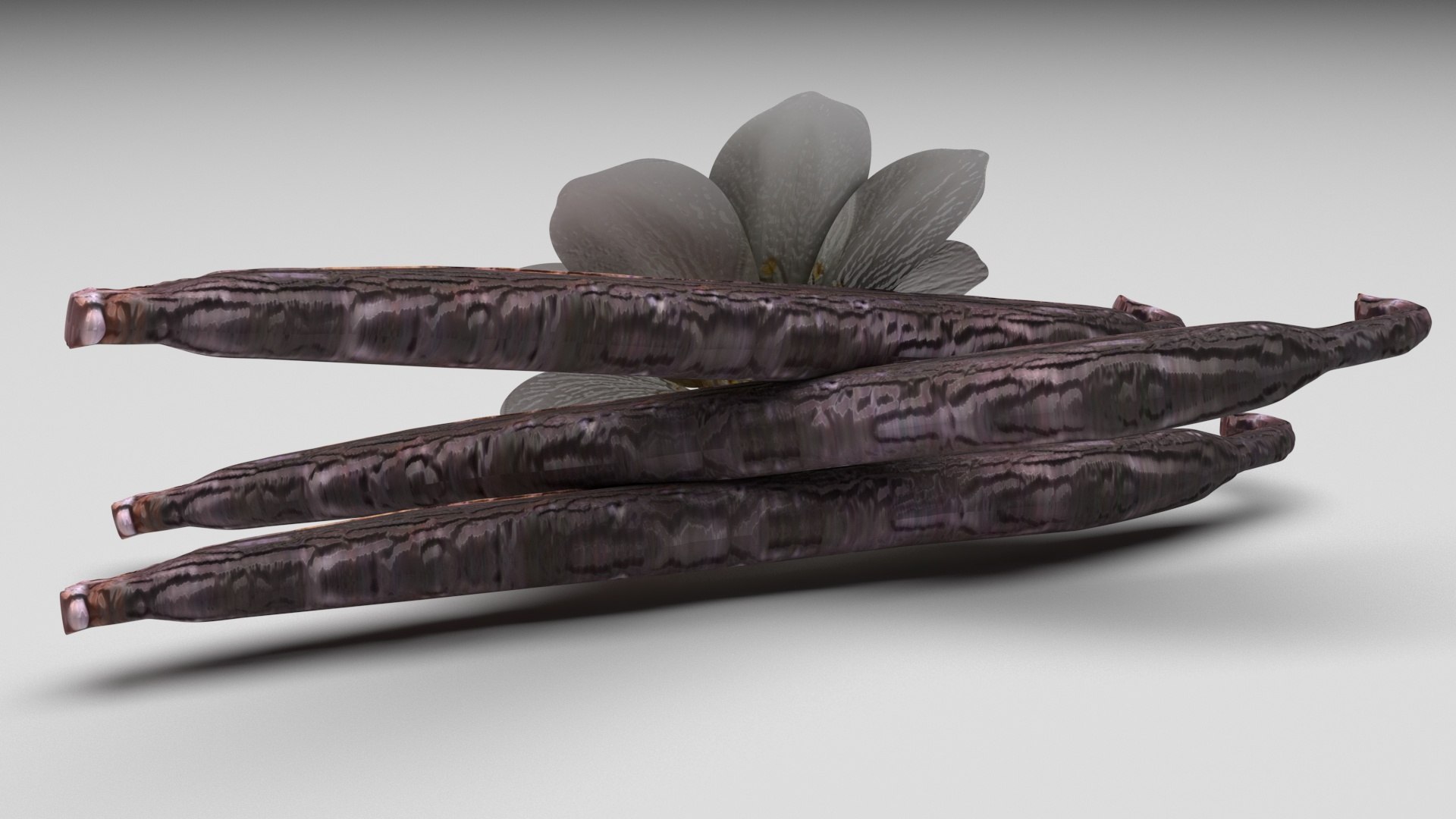 Vanilla 3D Model - TurboSquid 2243521