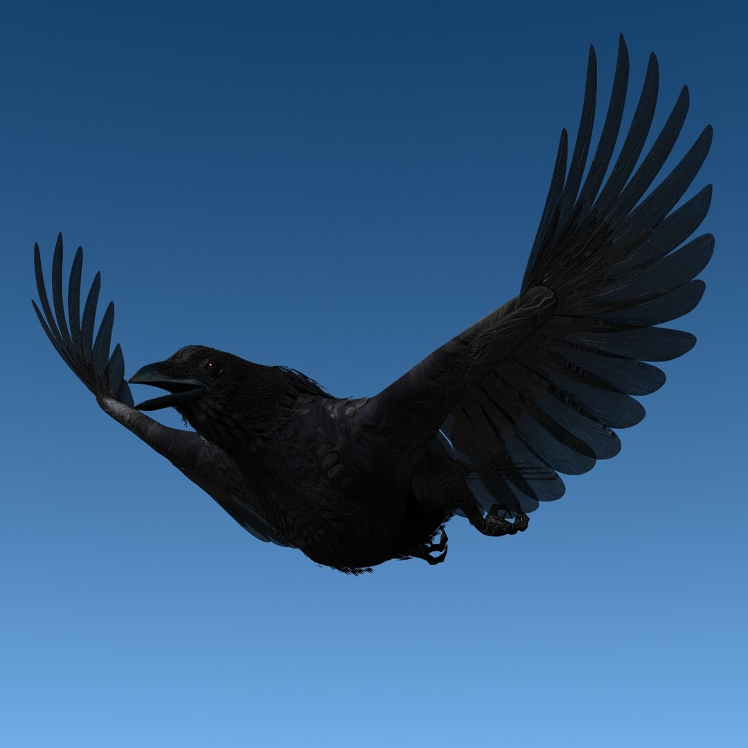 crow rigged lightwave 3d model