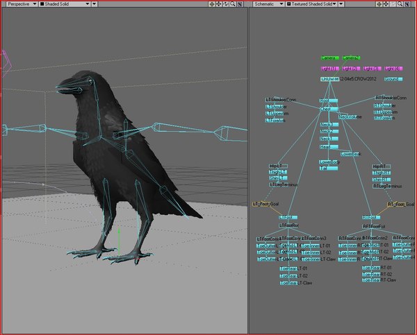 crow rigged lightwave 3d model