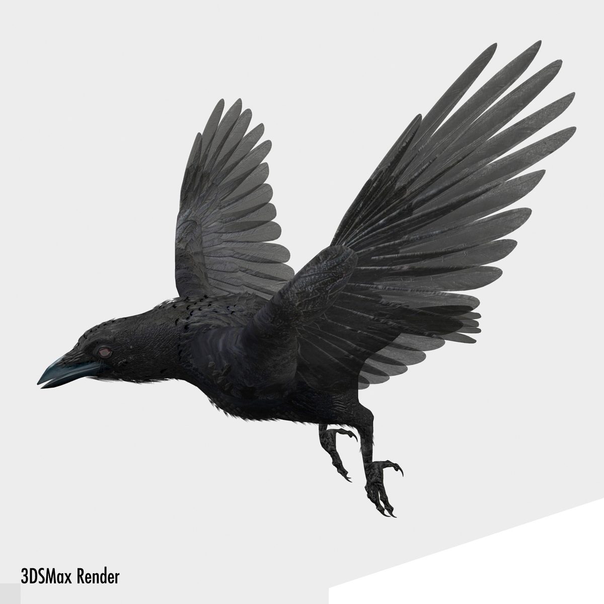 crow rigged lightwave 3d model