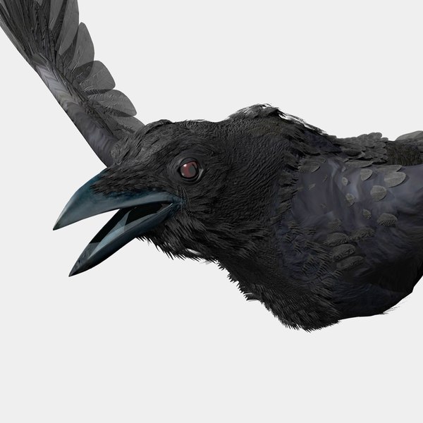crow rigged lightwave 3d model