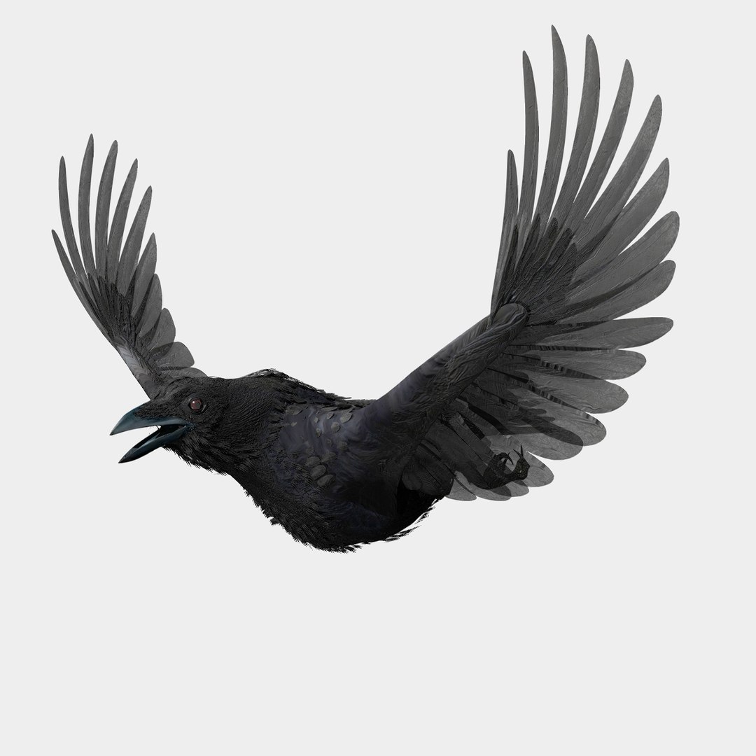crow rigged lightwave 3d model