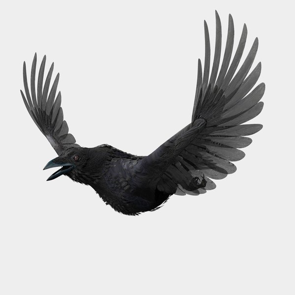 crow rigged lightwave 3d model