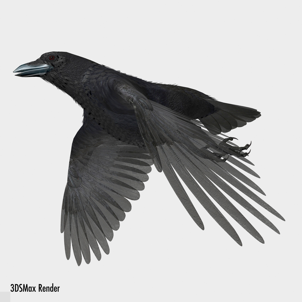 crow rigged lightwave 3d model