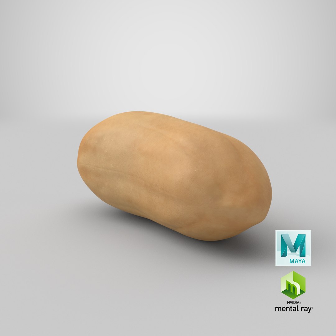 3D peanut seed peeled - TurboSquid 1445682