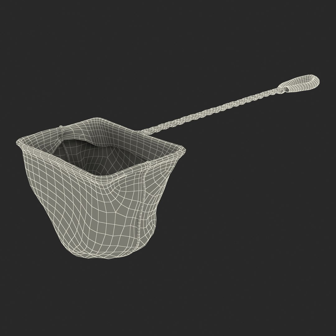 Aquarium Net Modeled 3d Model