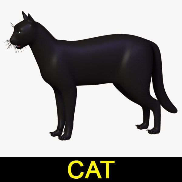 cat feline 3d obj