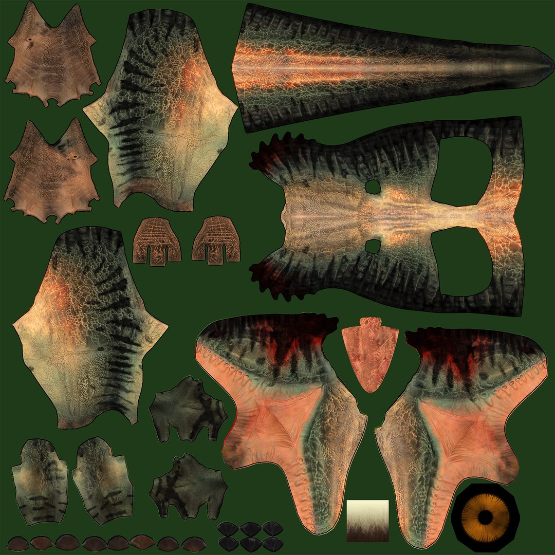 3D Allosaurus Ar Vr Mobile - TurboSquid 1355216