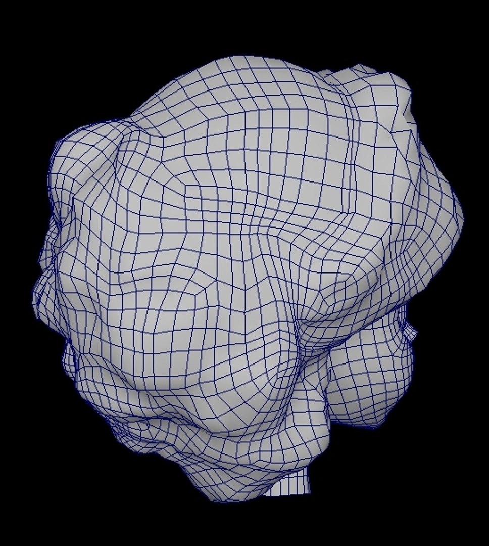 3D Head Uv Animation Model | 1148424 | TurboSquid