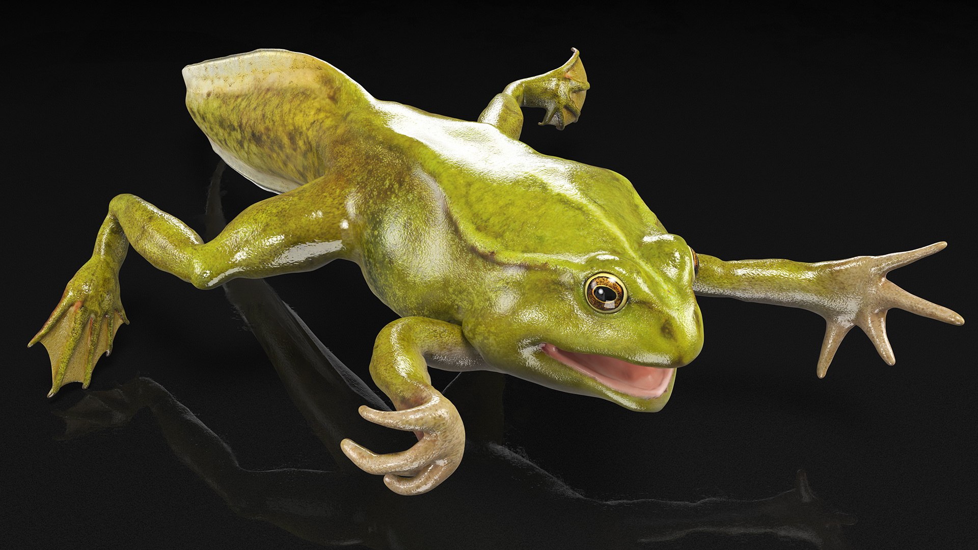 3D Tadpole with Four Legs - TurboSquid 1719488