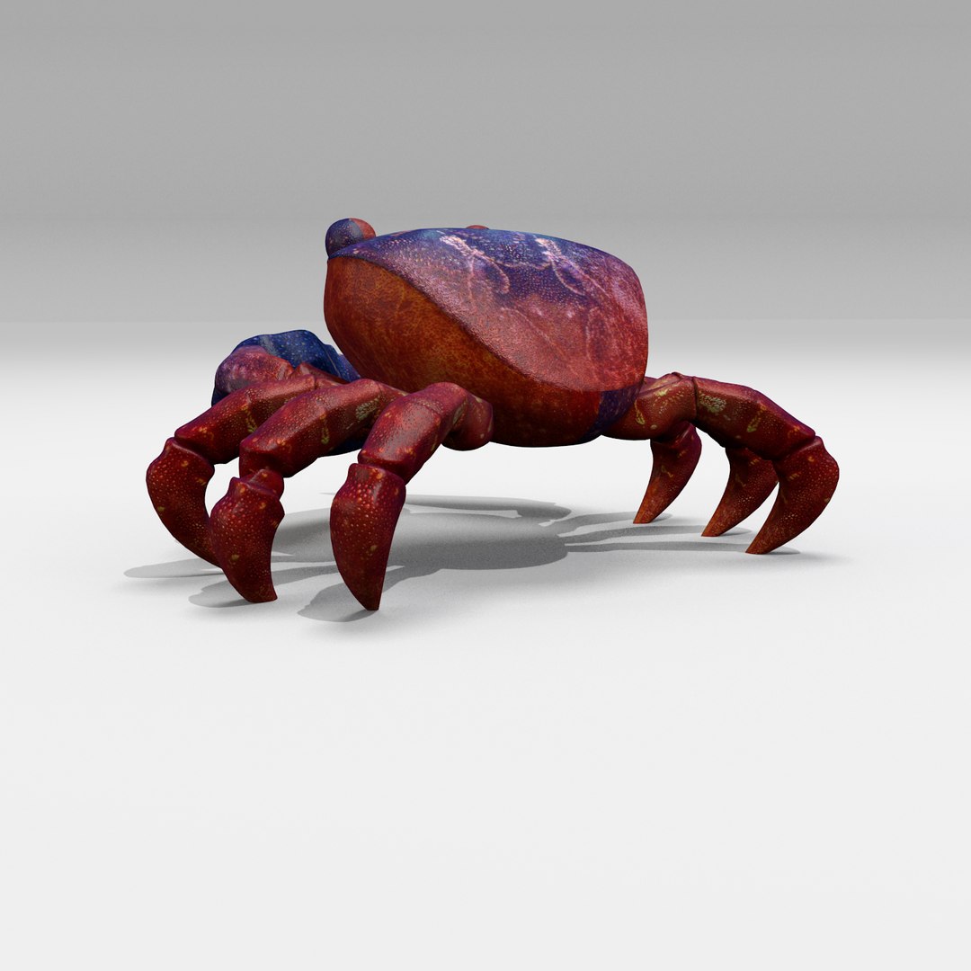 Maya Crab
